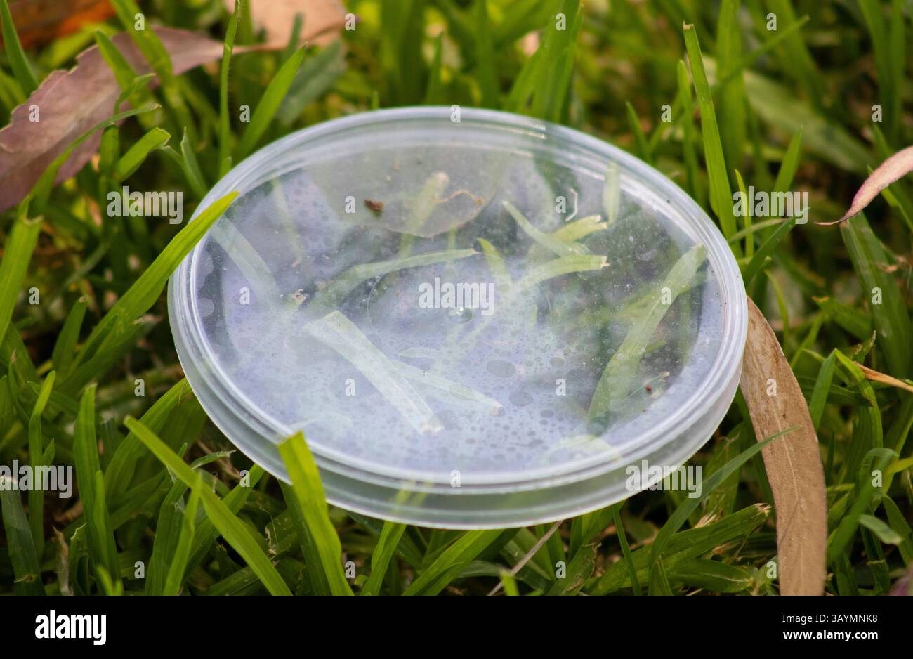 Outdoor plastic garbage container hi-res stock photography and images ...