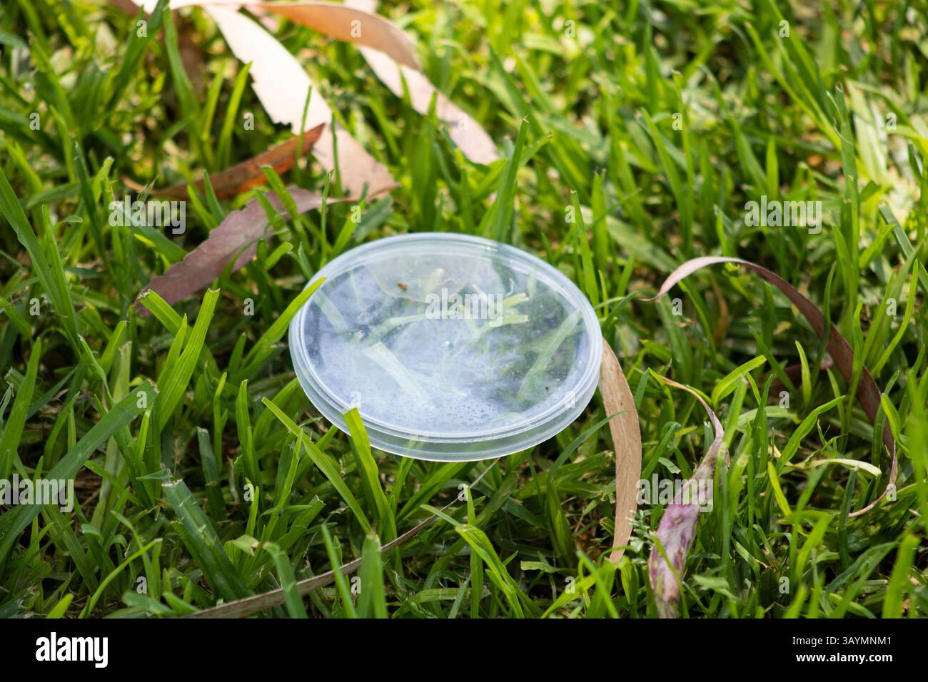 Litter plastic trash on hi-res stock photography and images - Alamy