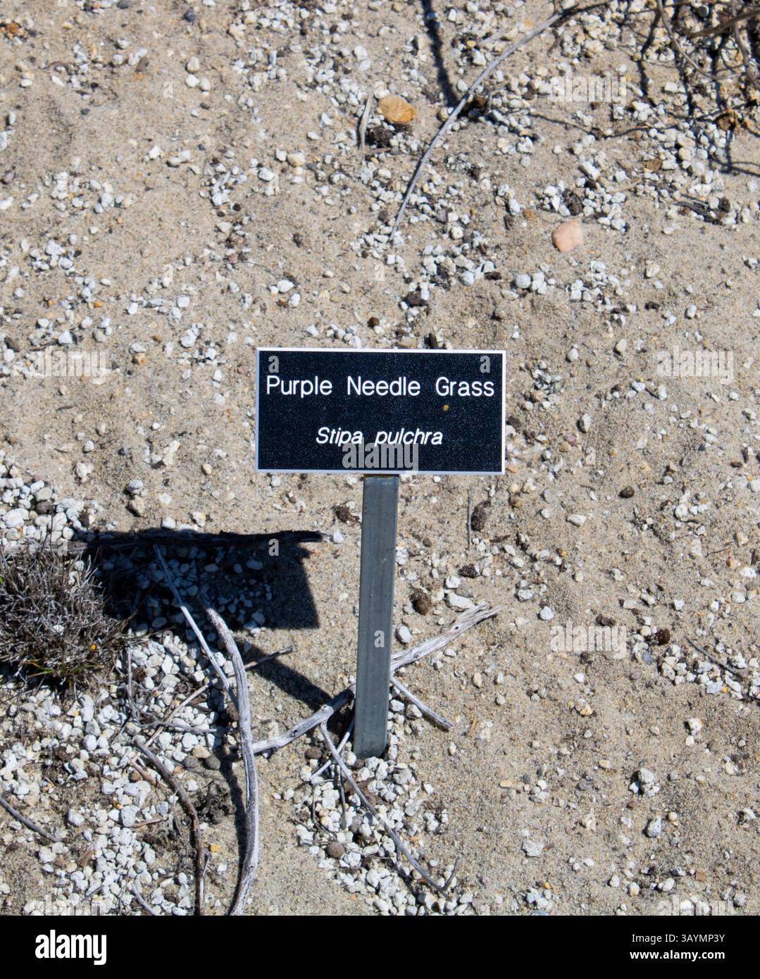 Grassy plant label hi-res stock photography and images - Alamy