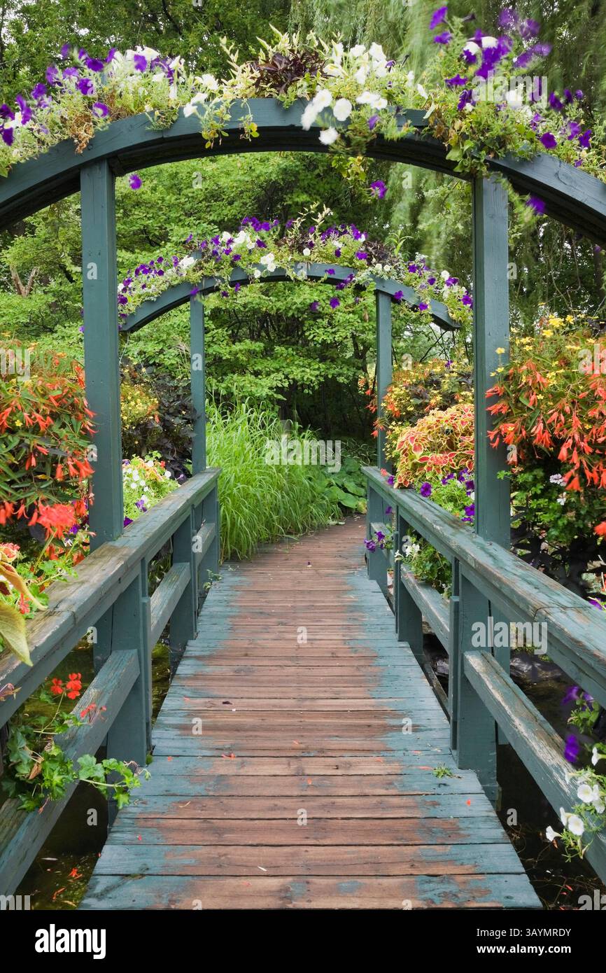 Old weathered wooden footbridge decorated with white and purple ...