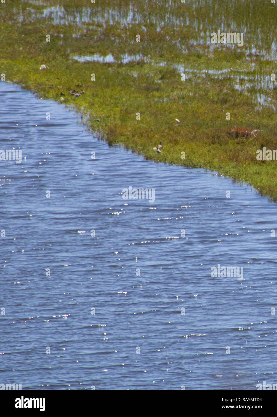 coastal landscape with blue water and greenery Stock Photo - Alamy