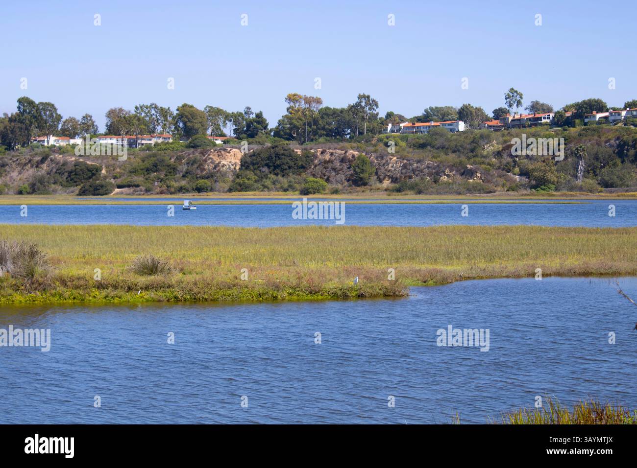 coastal landscape with blue water and greenery Stock Photo - Alamy