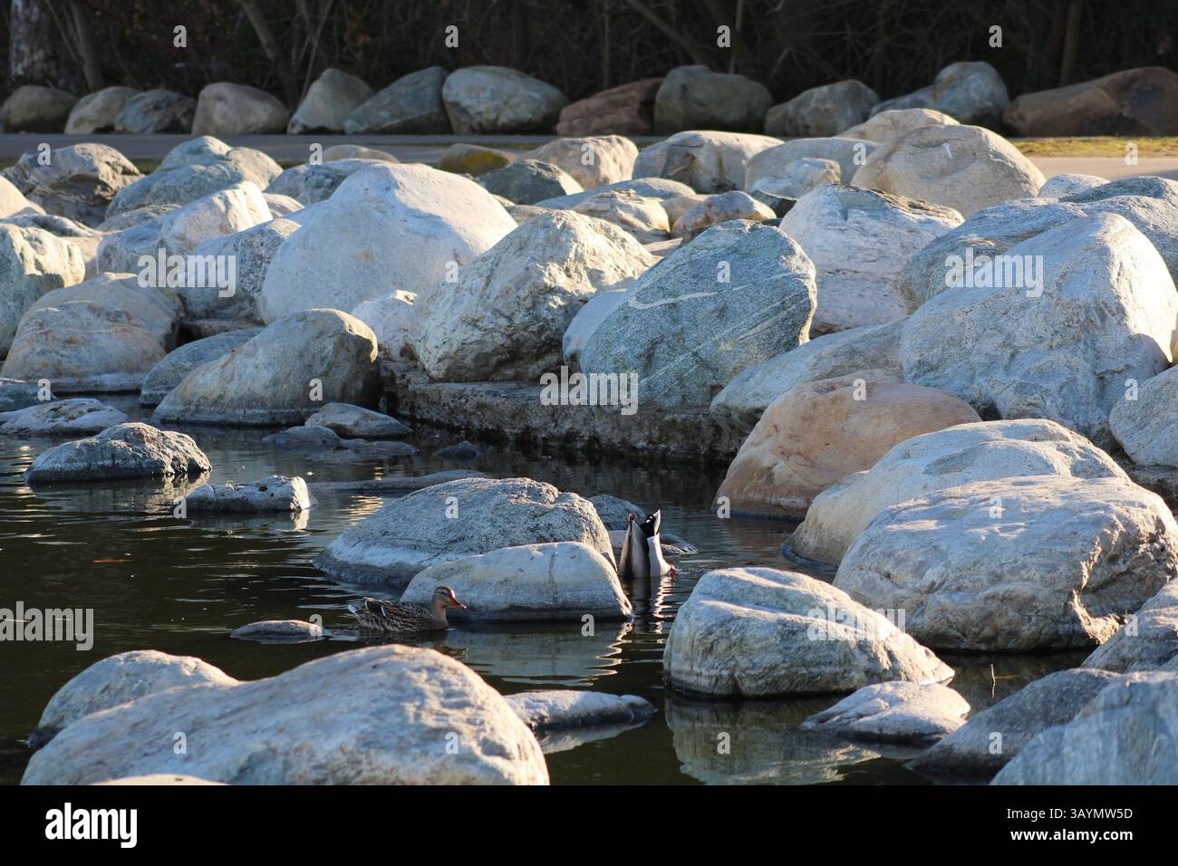 gray pile of rocks along waterside Stock Photo - Alamy