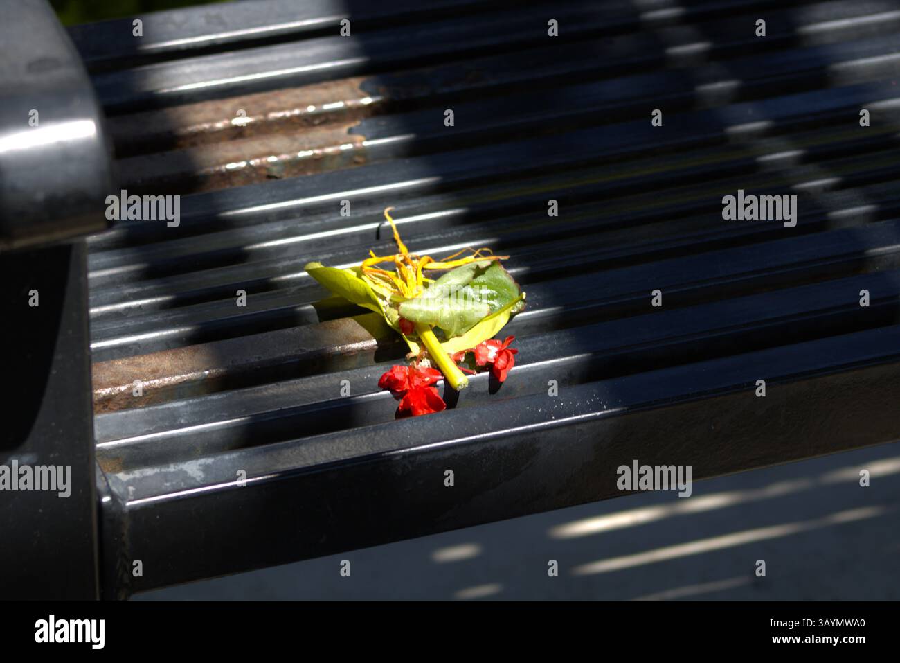 crushed flower on iron park bench Stock Photo - Alamy