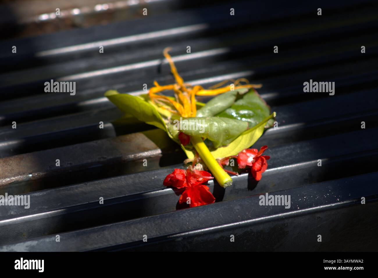 crushed flower on iron park bench Stock Photo - Alamy