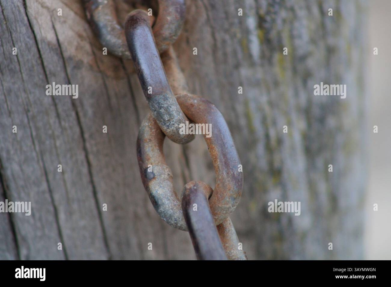 Chain link and wood fence hi-res stock photography and images - Alamy