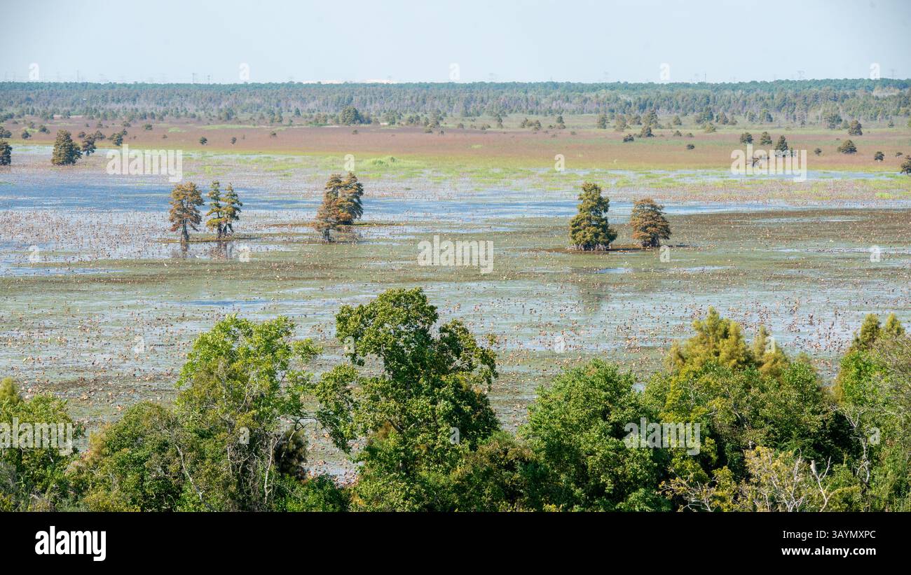 Sheldon Lake State Park in Texas Stock Photo - Alamy