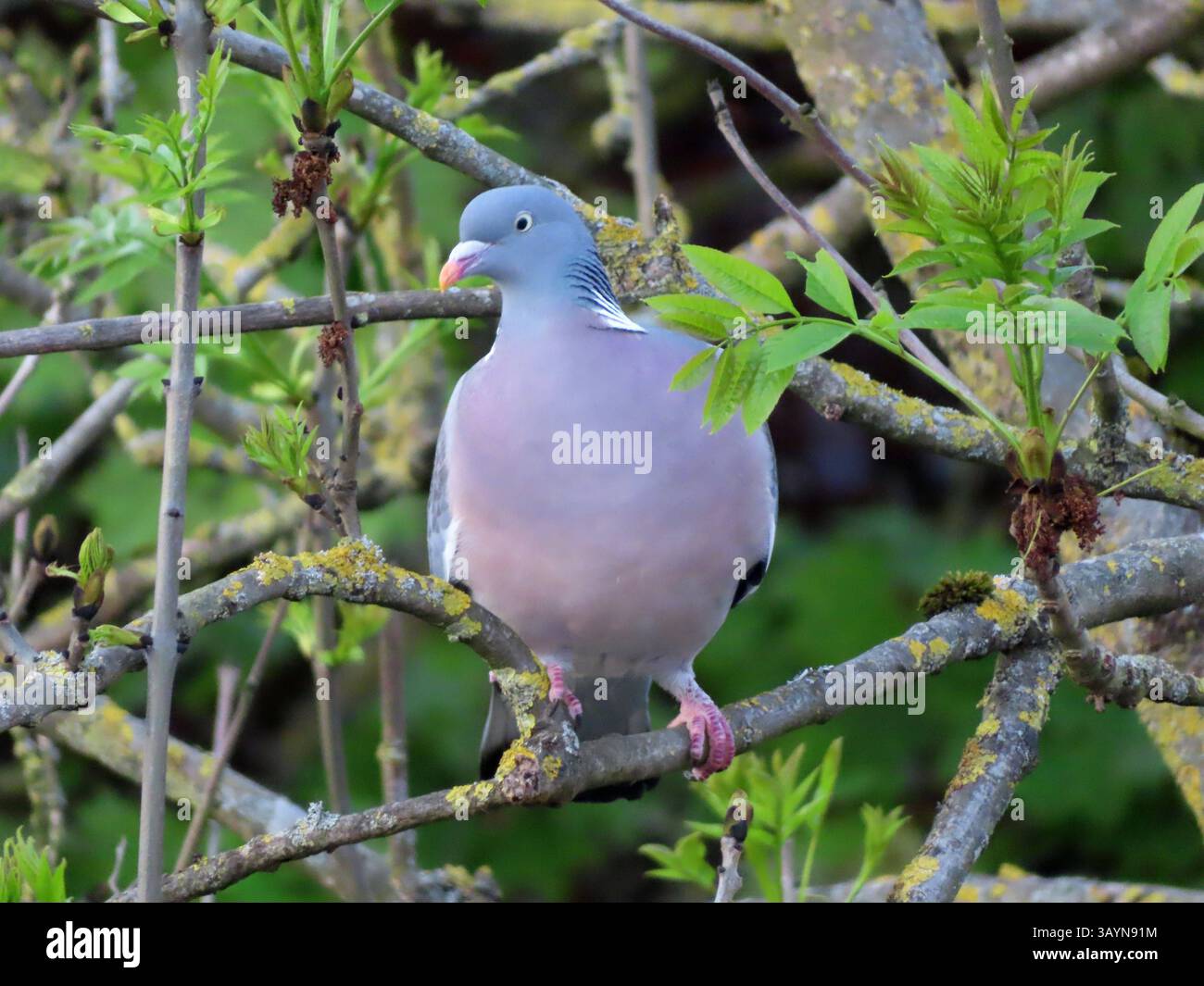 ...das muss erst einmal alles gruendlich durchdacht werden ...