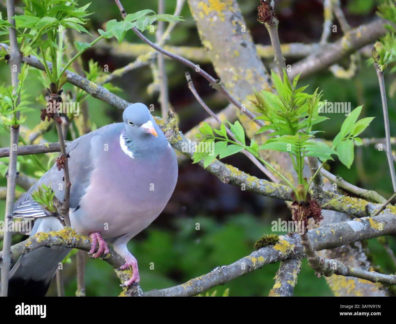 ...erst einmal die eigenen technischen und physischen Voraussetzungen ...