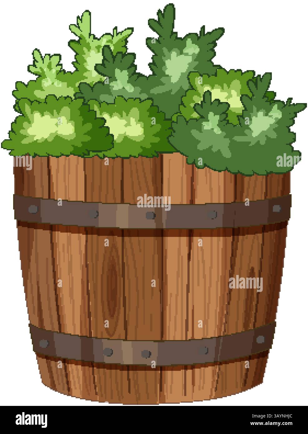 Vector illustration of a wooden barrel filled with lush green foliage ...