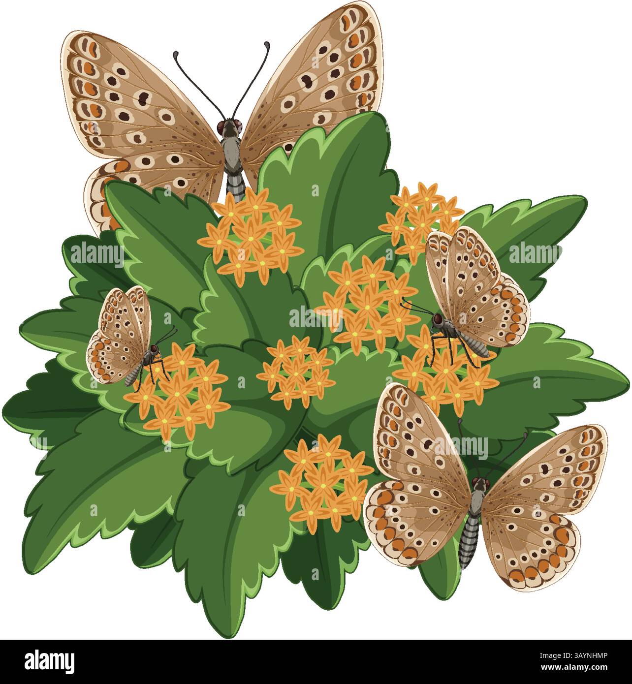 Detailed vector illustration of butterflies on a lush green shrub with ...