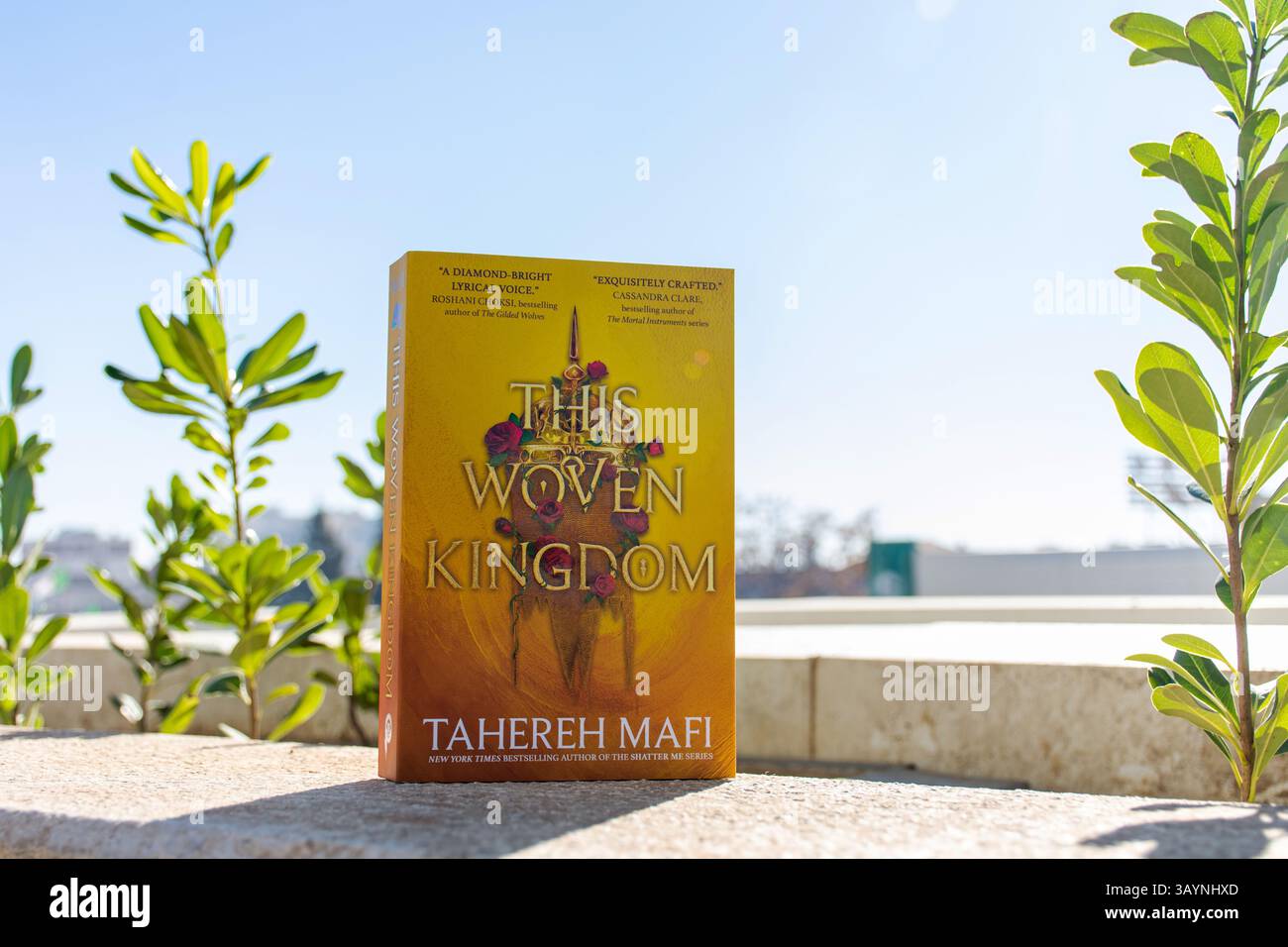 Tahereh hi-res stock photography and images - Alamy