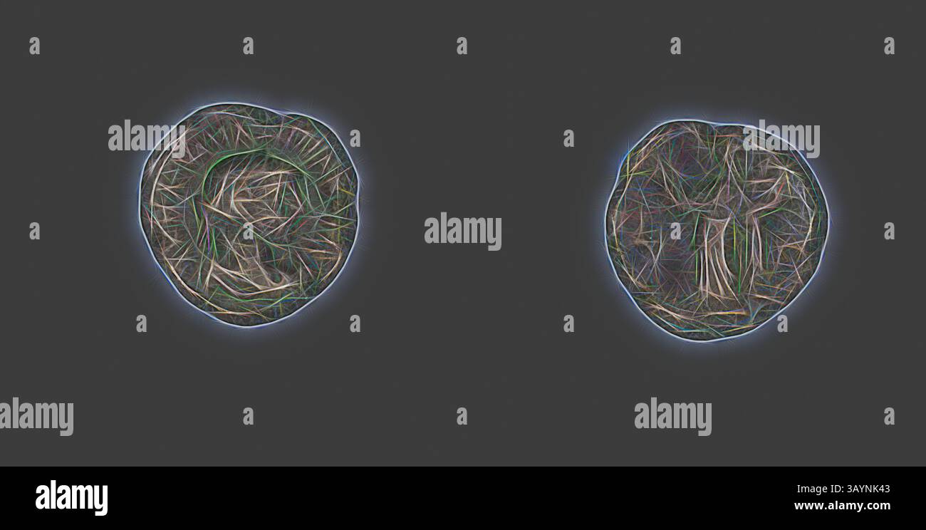 Spiraling design reminiscent of tangled roots hi-res stock photography ...