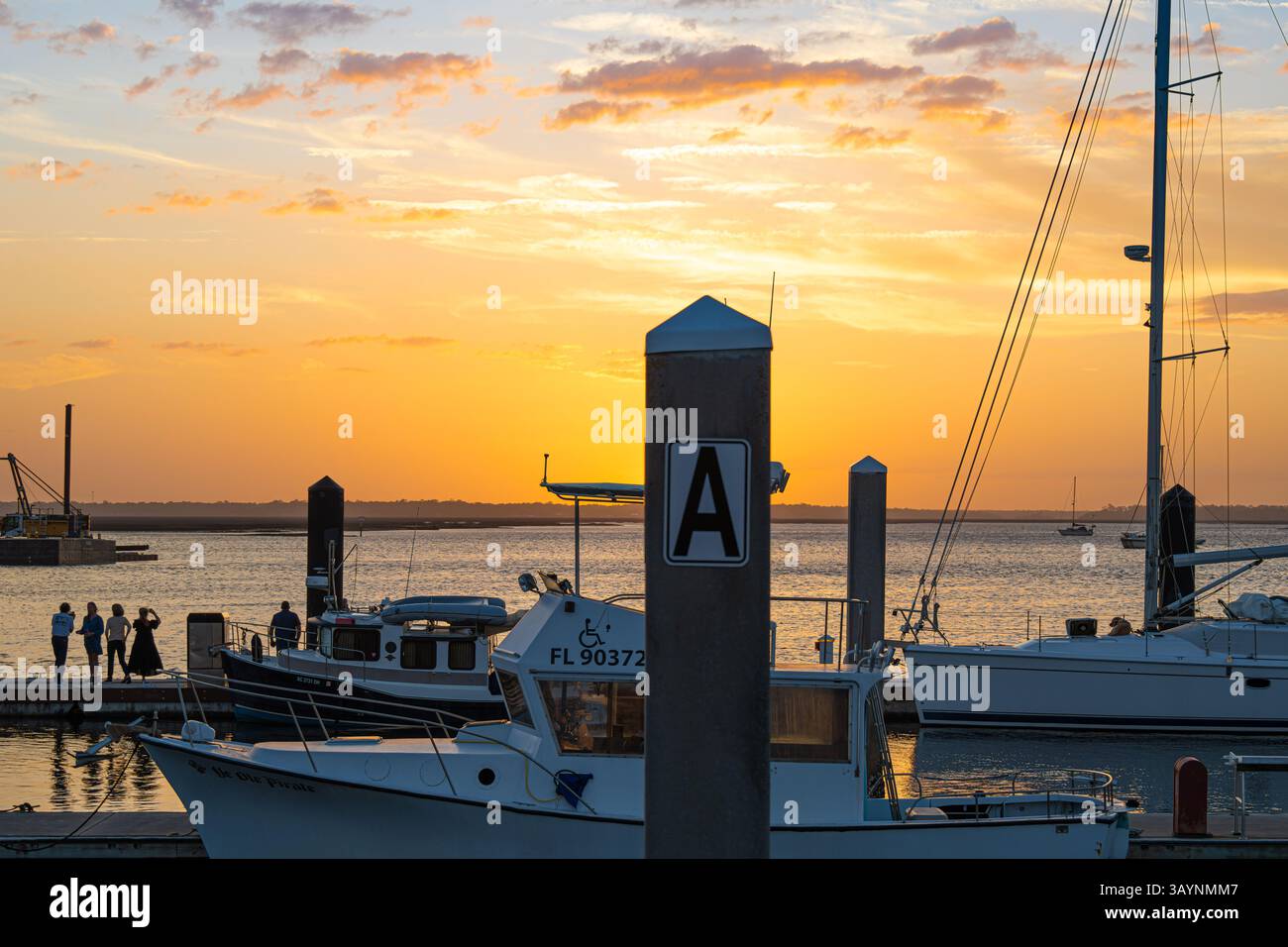 Nassau river, yulee florida hi-res stock photography and images - Alamy