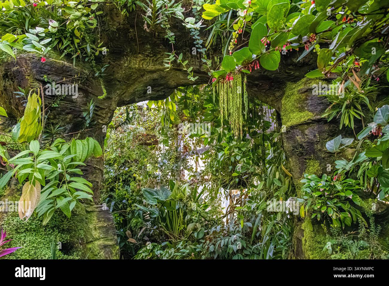 Tropical high elevation house hi-res stock photography and images - Alamy