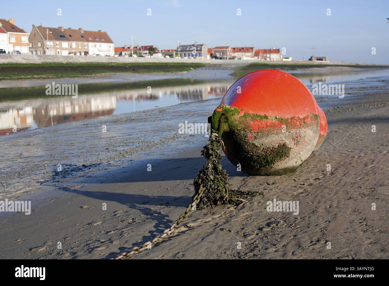 Low lying coast hi-res stock photography and images - Alamy