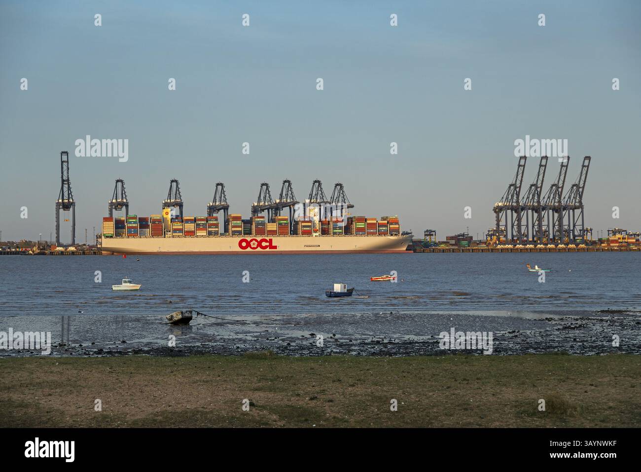 Container ship, container gantry cranes, boats, harbour, Harwich ...