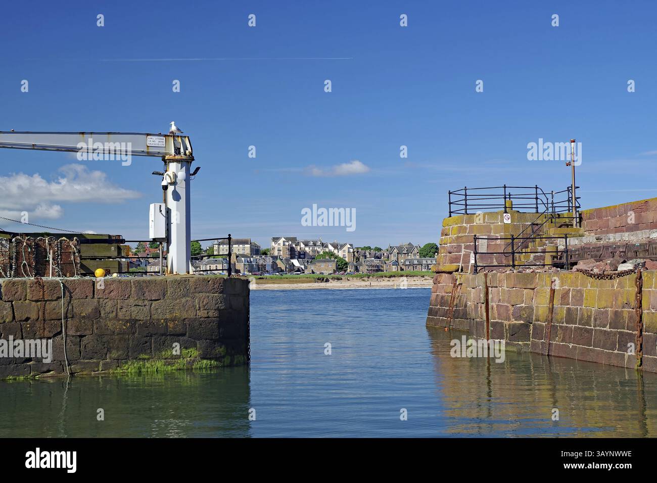Port berwick small harbour hi-res stock photography and images - Alamy