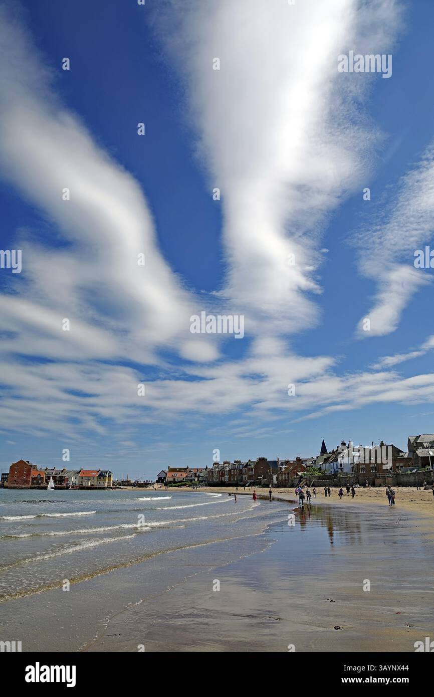 Sandy beach beach with impressive clouds and blue sky, surrounded by ...