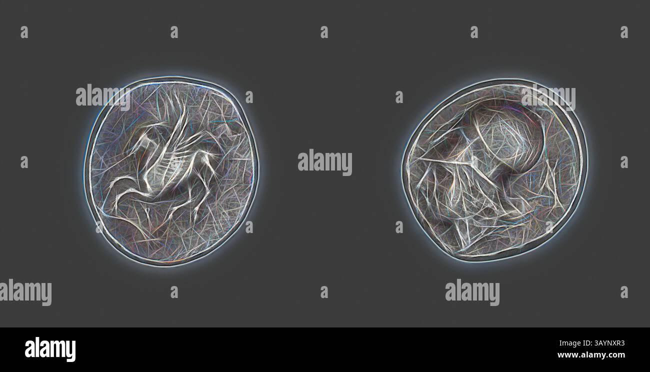 Greek mythical creature hi-res stock photography and images - Alamy