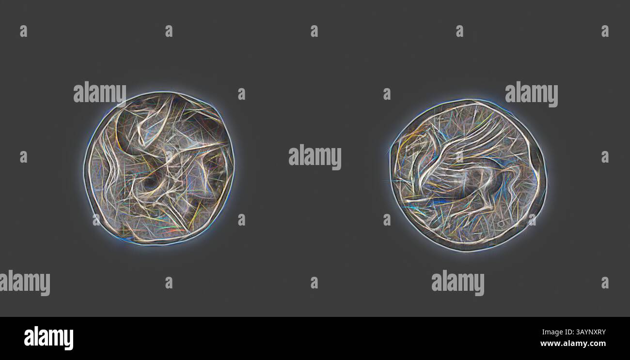Two circular coins display intricate designs, featuring detailed ...