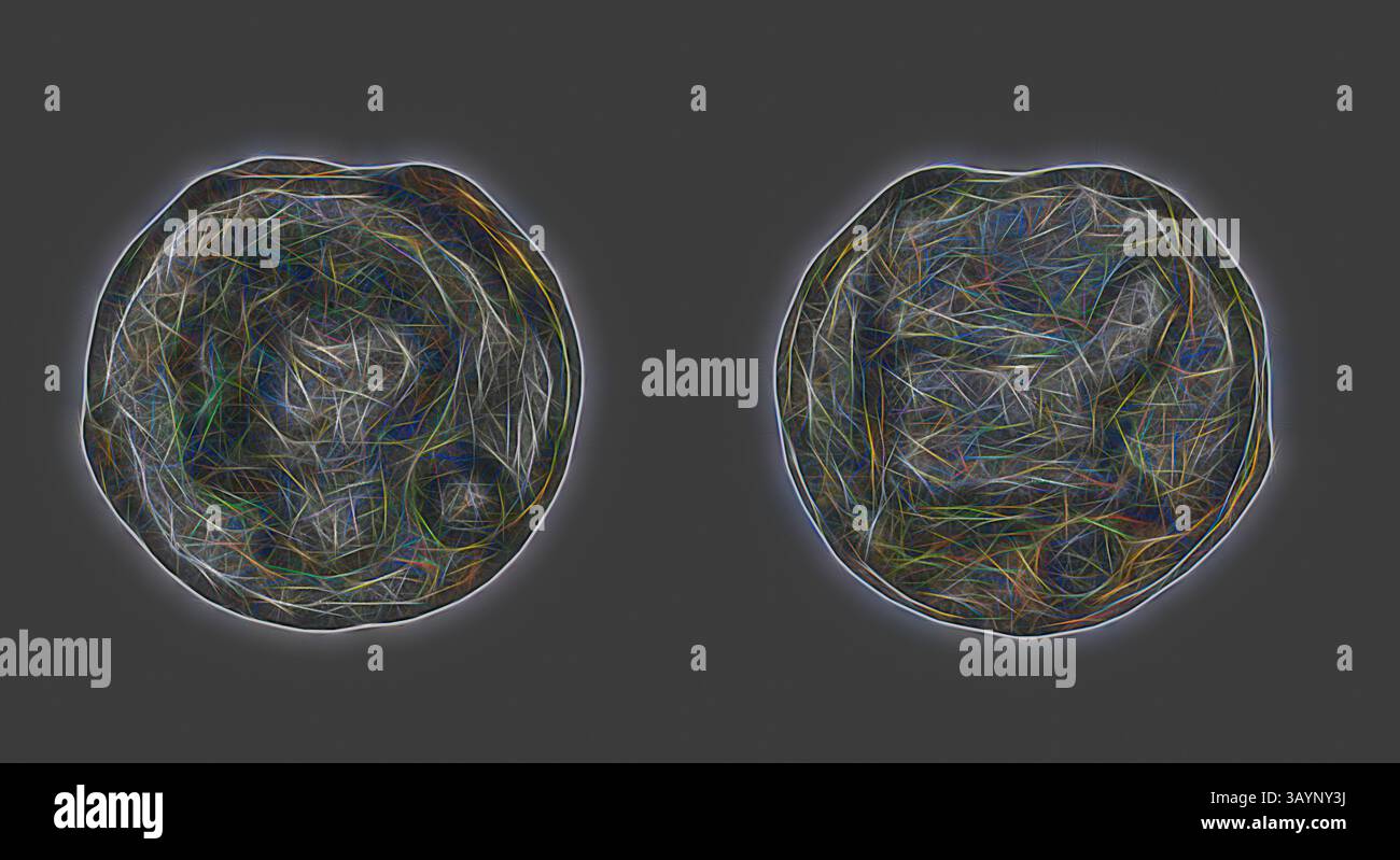 Two circular objects, characterized by intricate patterns and textures ...