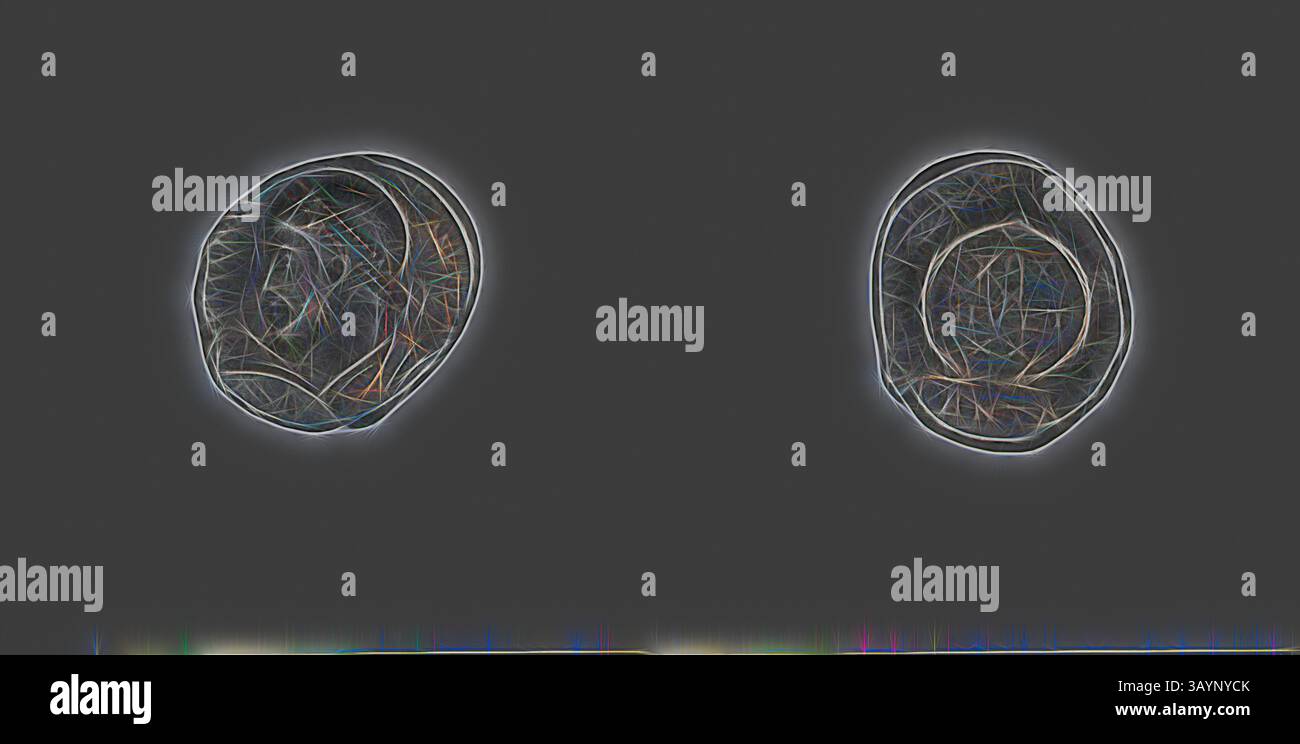 An abstract representation of two circular forms, each exhibiting ...