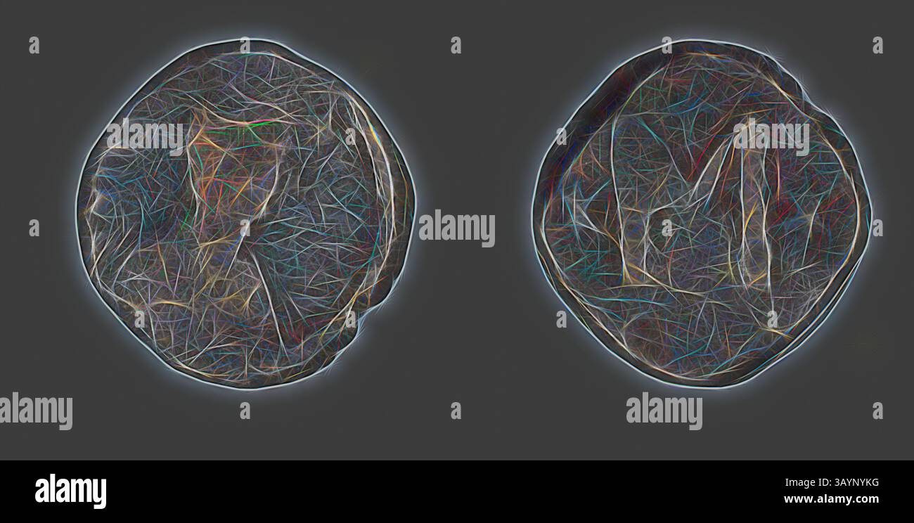 A pair of circular objects featuring intricate designs and texture ...