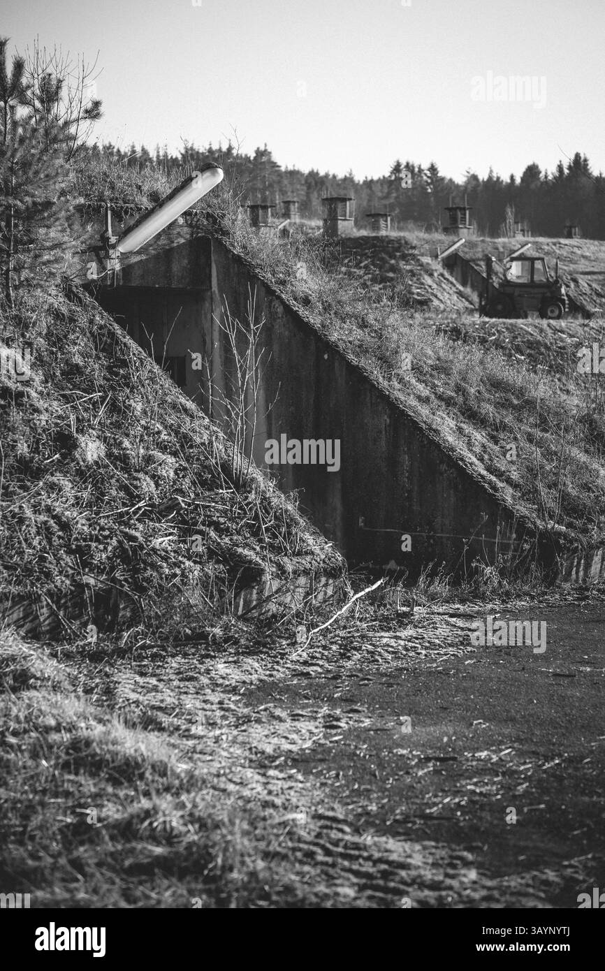 Wildberg, Calw, Baden-Wuerttemberg, Germany, Black and white photo of a ...