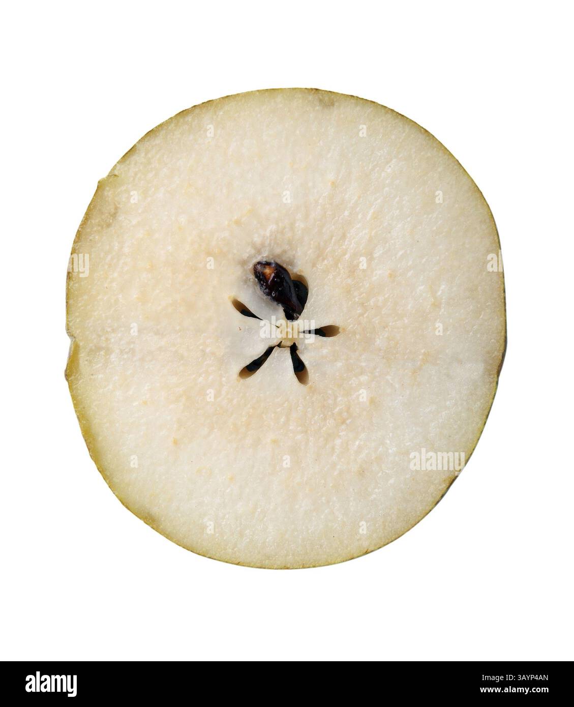 Green pear slice with seeds with clipping path Stock Photo - Alamy