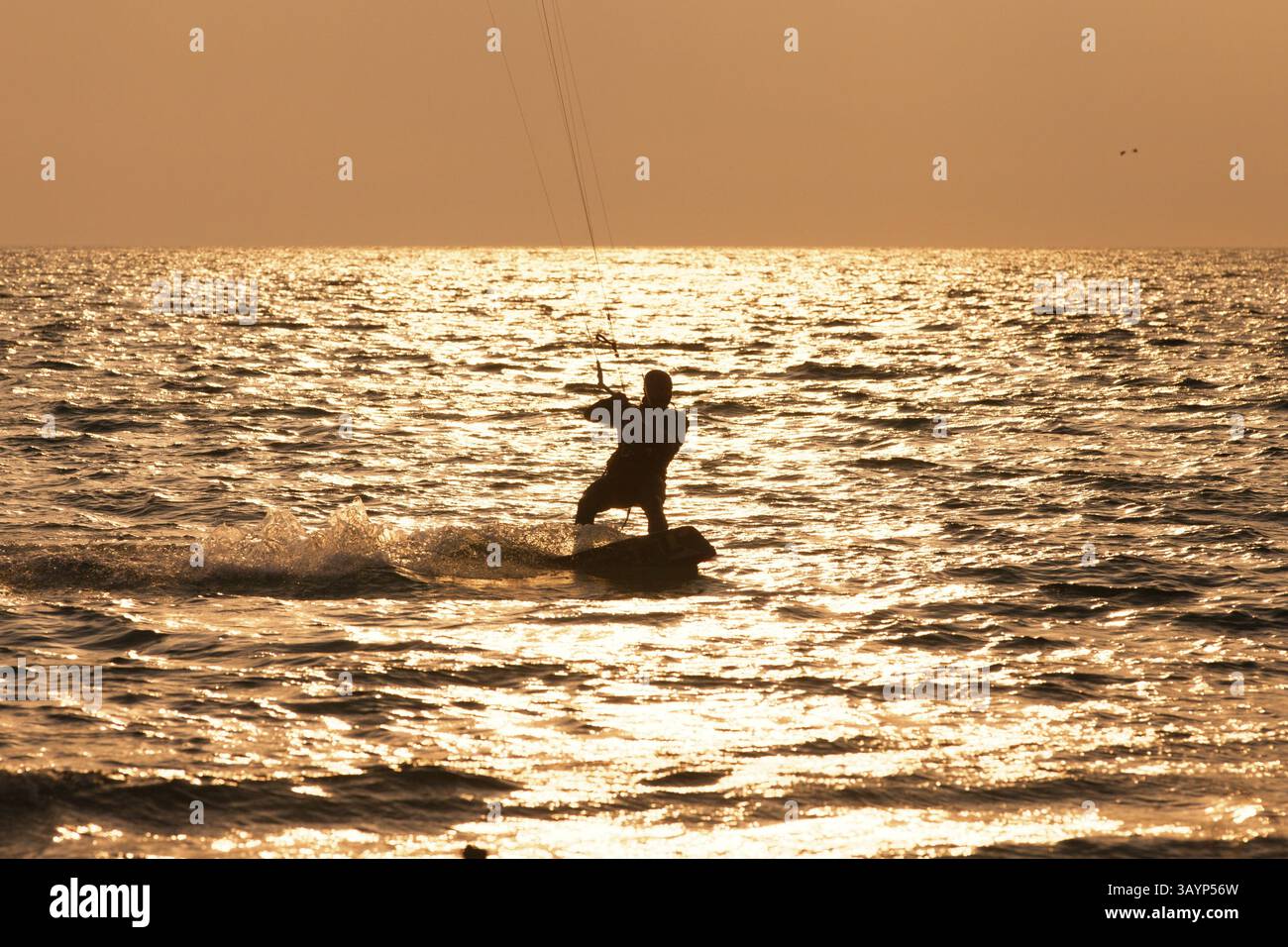 Kite surfer sailing in the sunset sea Stock Photo - Alamy