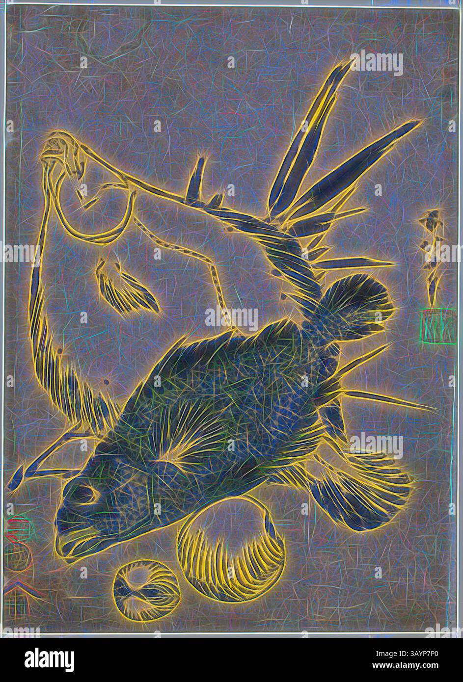 An artistic representation featuring a stylized fish and various ...