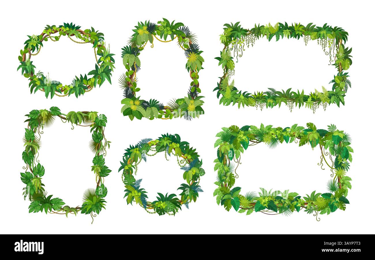 Jungle liana frames set of tropical palm leaves and rainforest plants ...