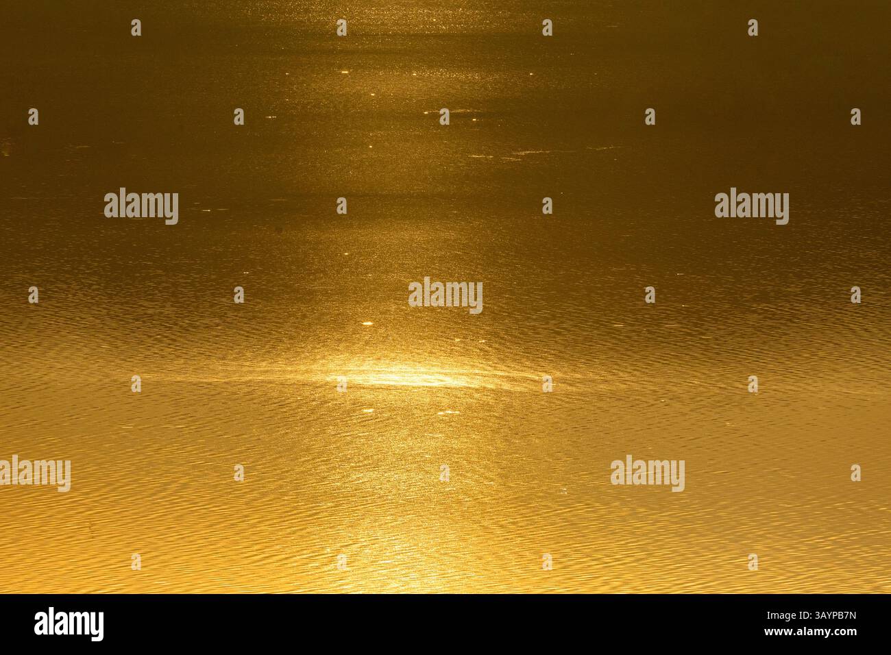 Golden Morning: Sun Rays Dancing on the Lake Stock Photo - Alamy
