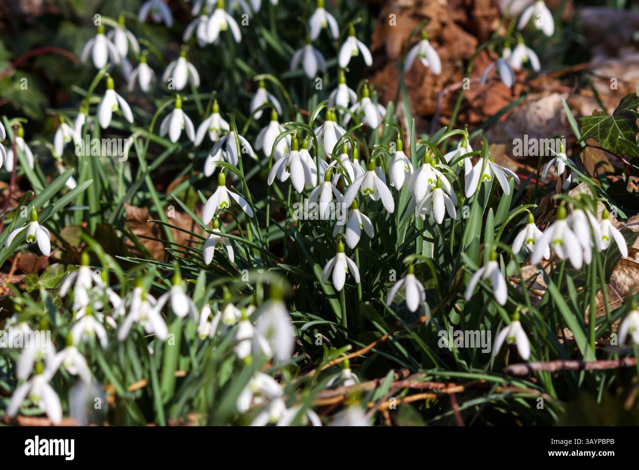 Discovery in early morning hi-res stock photography and images - Alamy