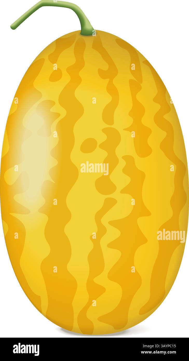 Gold in Gold Watermelon. Citrullus lanatus. Fruits and vegetables ...