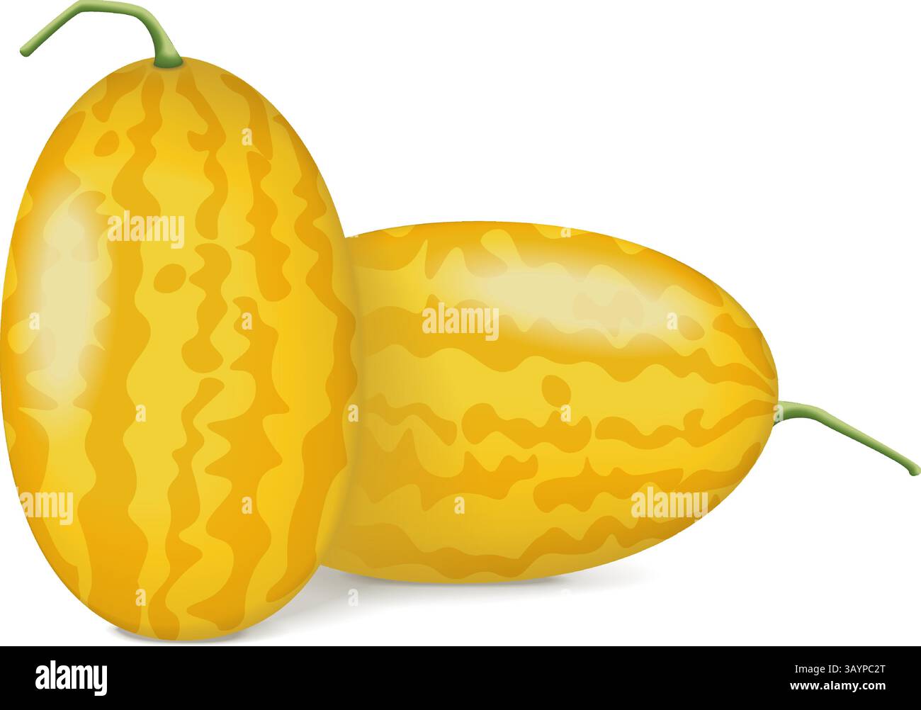 Group of Gold in Gold Watermelons. Citrullus lanatus. Fruits and ...