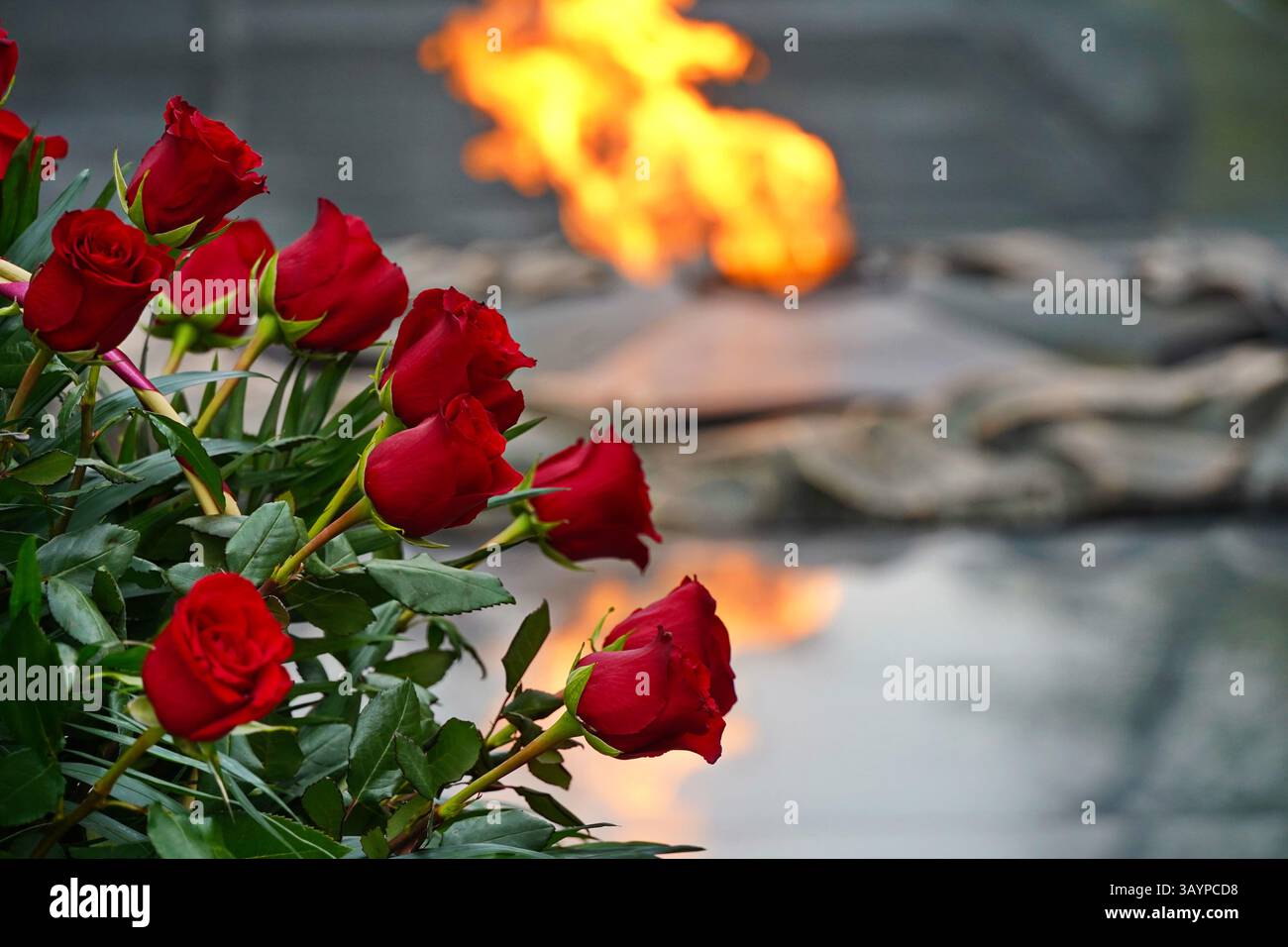 Flowers on the background of eternal flame. Memorial Day, May 9th Stock ...