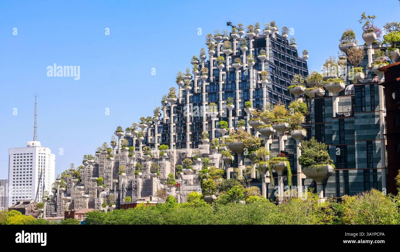 Tian An 1000 Trees, modern architecture with lush greenery and trees ...