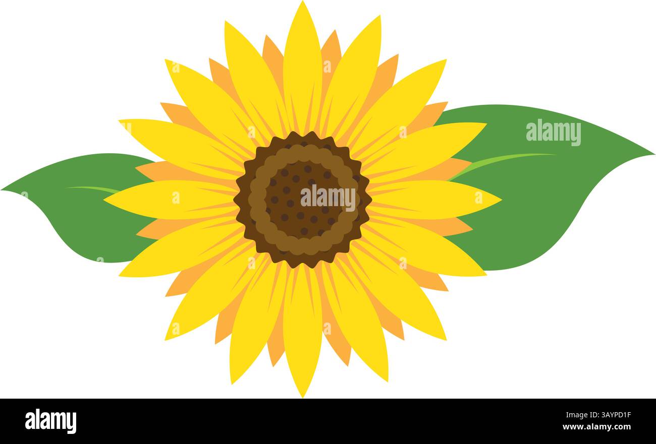 Large field full yellow Cut Out Stock Images & Pictures - Alamy