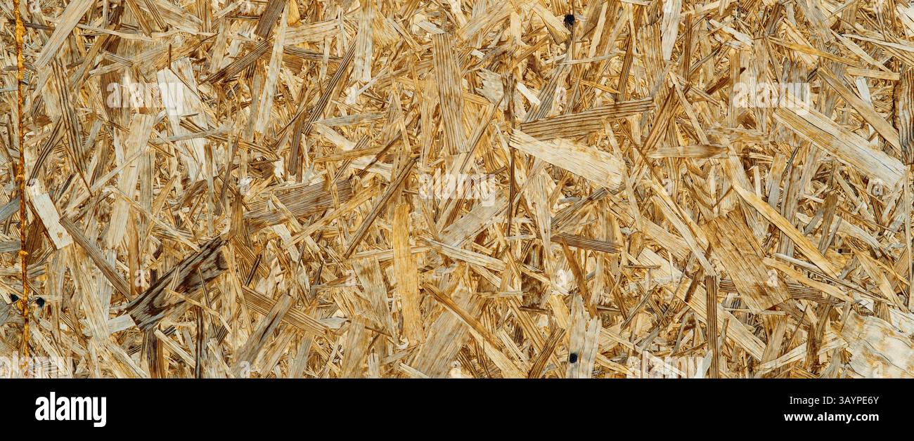 Wooden OSB panel surface with visible texture for wall, floor or ...