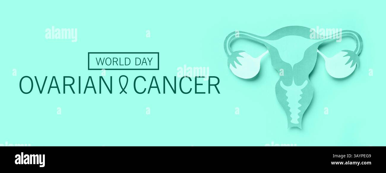 Paper female reproductive system on teal background. World Ovarian ...