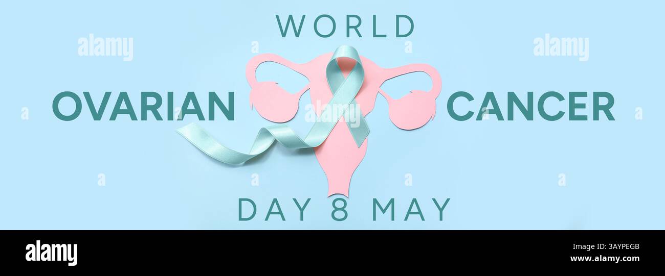 Paper female reproductive system hi-res stock photography and images ...