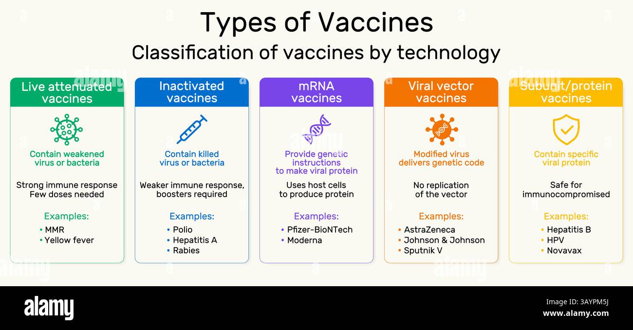 Types of vaccines infographic. Classification of vaccines by technology ...