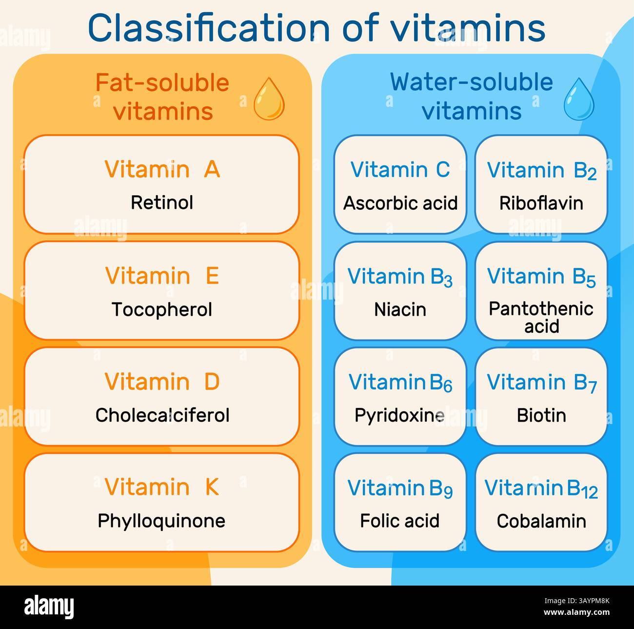 Classification of vitamins infographic. Fat-soluble and water-soluble ...