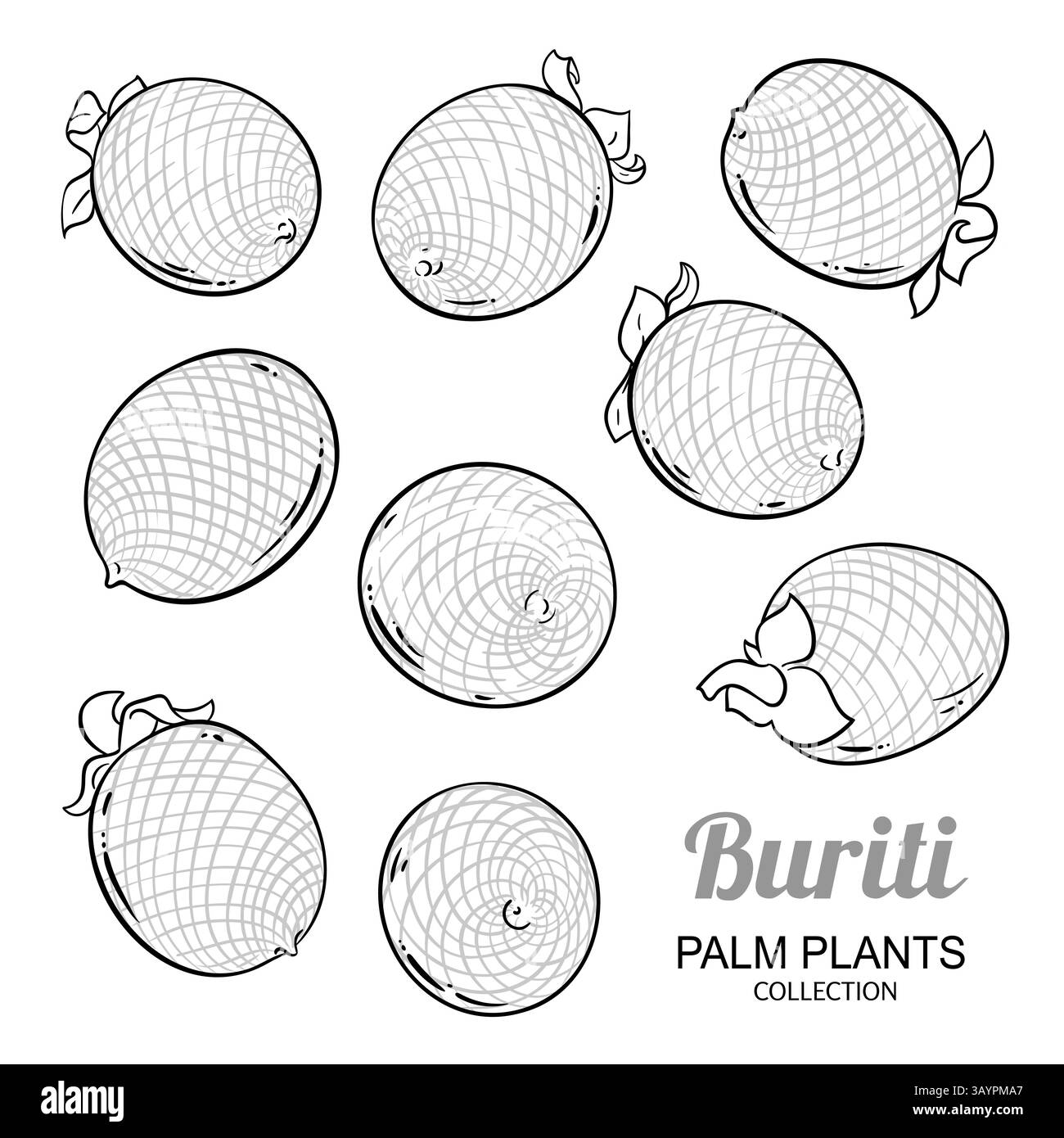 Buriti fruit hi-res stock photography and images - Alamy