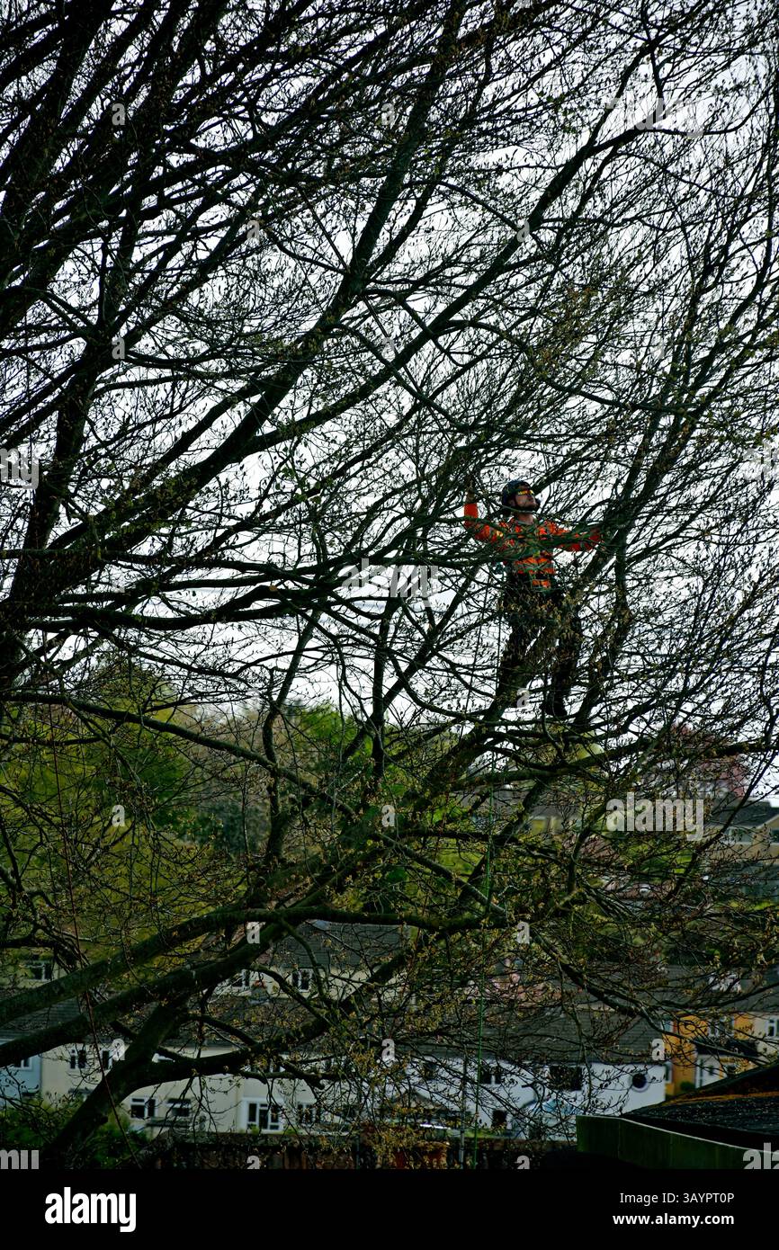 Rural surgeon hi-res stock photography and images - Alamy