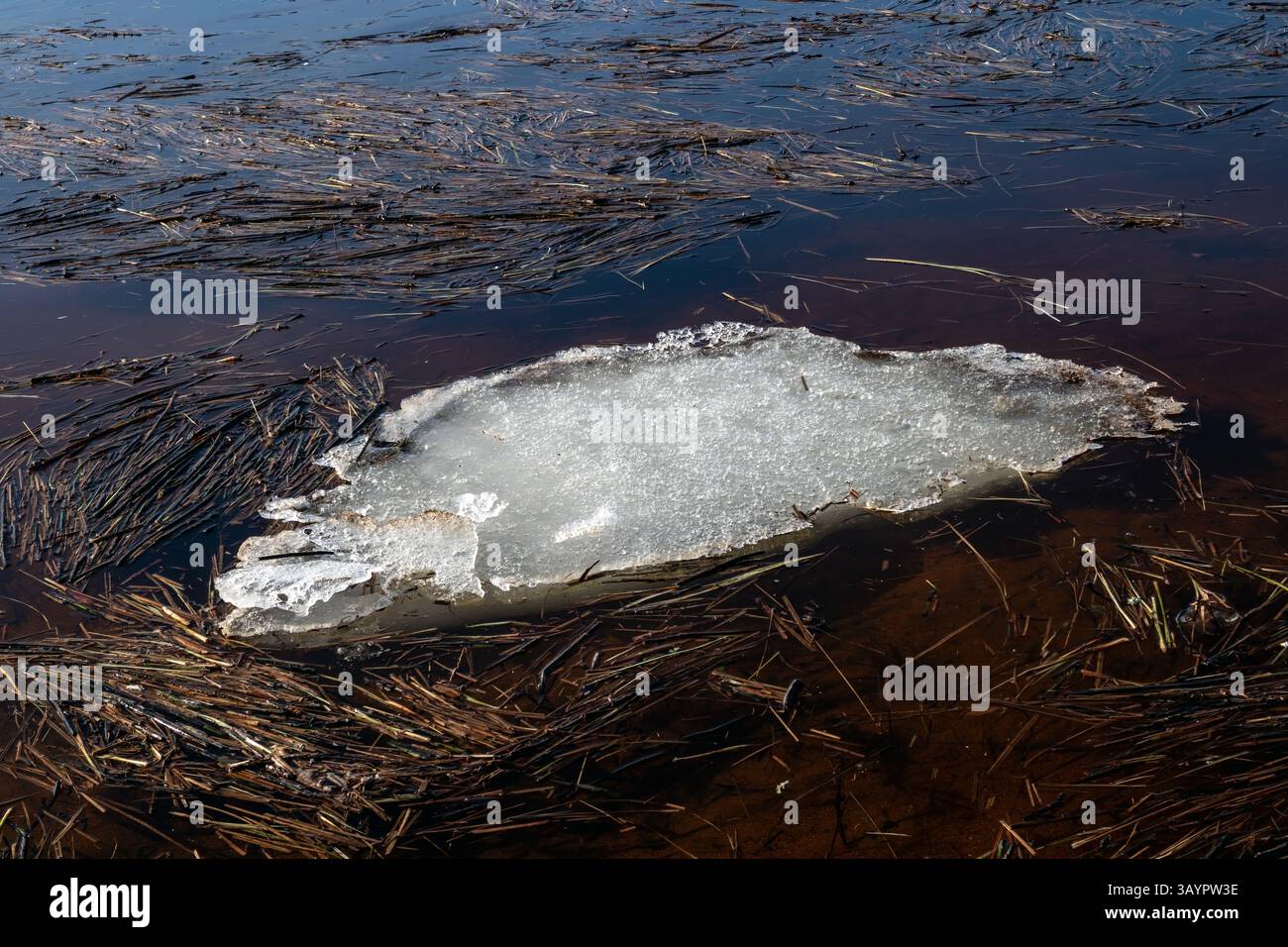 floating spring ice drift on the river Stock Photo - Alamy