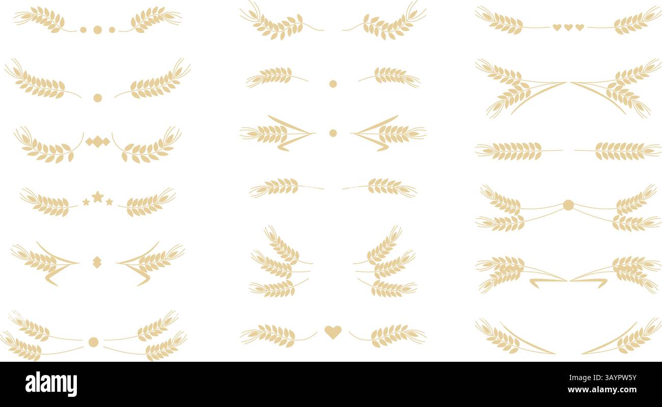 Set of dividers from ears of cereal crops. Natural spikelet design ...