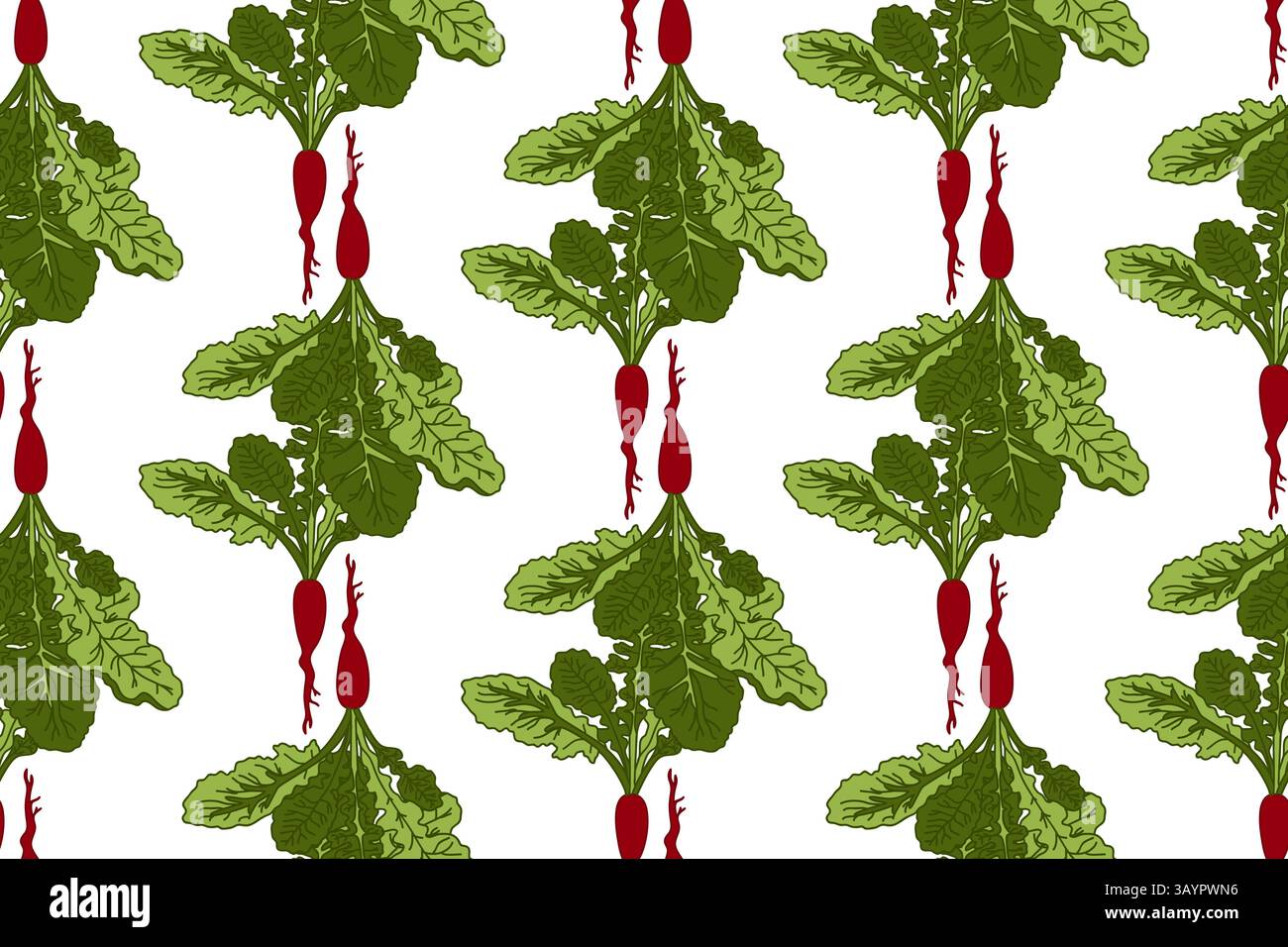 Botanical abstract seamless pattern with beets vector illustration ...